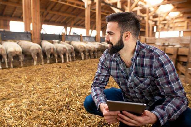 Get Ready for Your Farm and Ranch Annual Review | Farm Bureau Financial ...