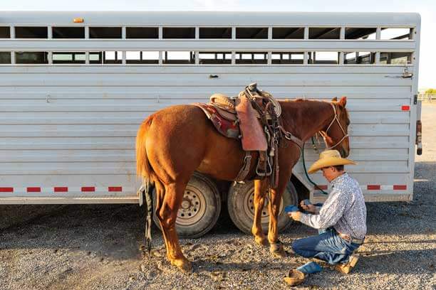 Transporting Livestock and Show Animals | Farm Bureau Financial Services