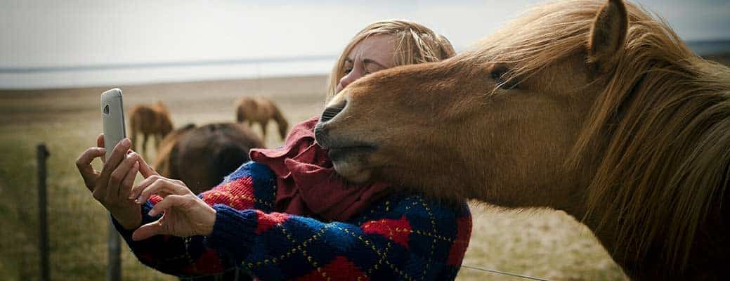 How to Keep Agritourism Visitors Safe on the Farm | Farm Bureau ...