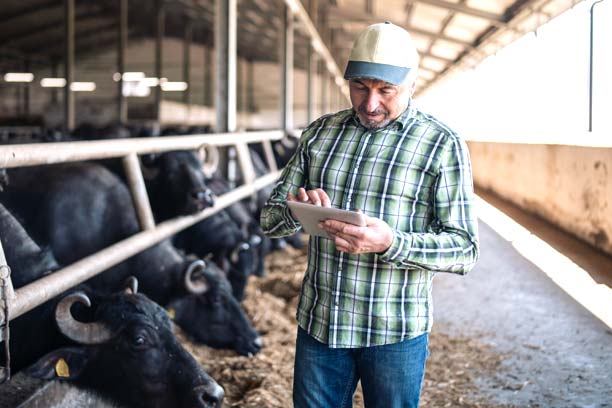 Annual Farm Planning: Financial Checklist | Farm Bureau Financial Services