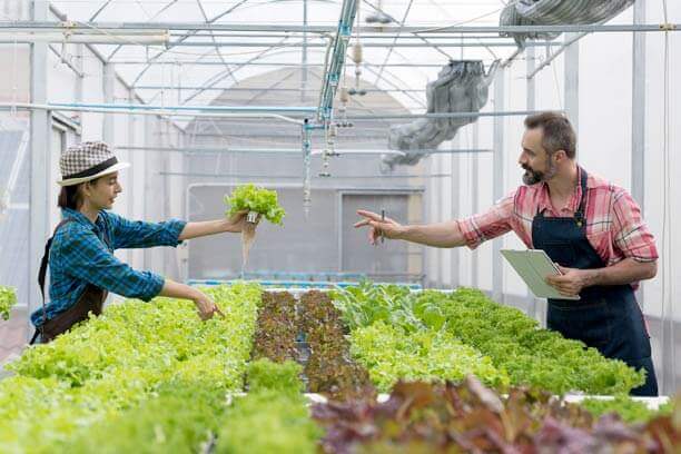 Safety Onboarding in Agritourism: How to Train Employees | Farm Bureau ...