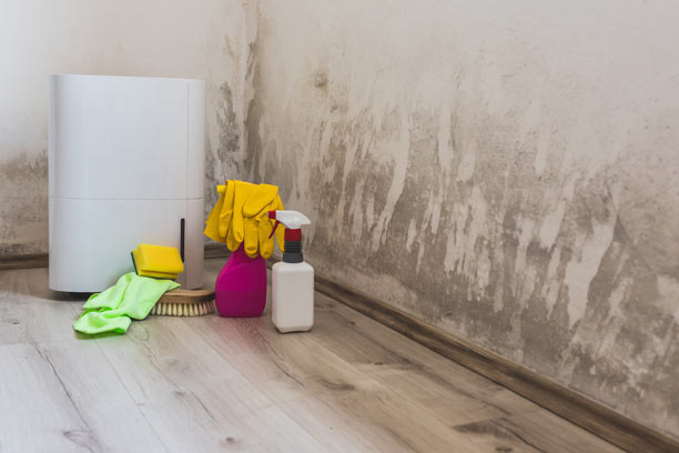 Does Homeowners Insurance Cover Mold? | Farm Bureau Financial Services