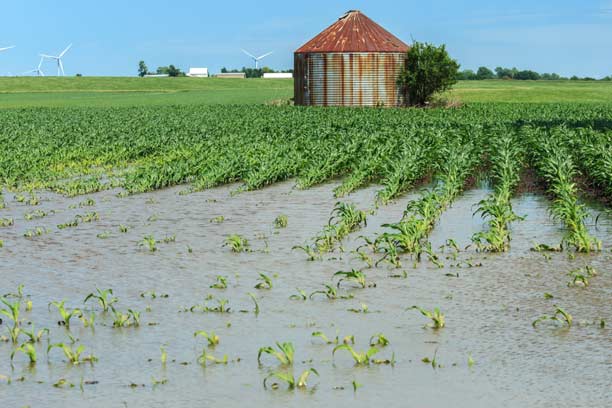 How to Protect Crops From Flooding: 7 Smart Steps | Farm Bureau ...
