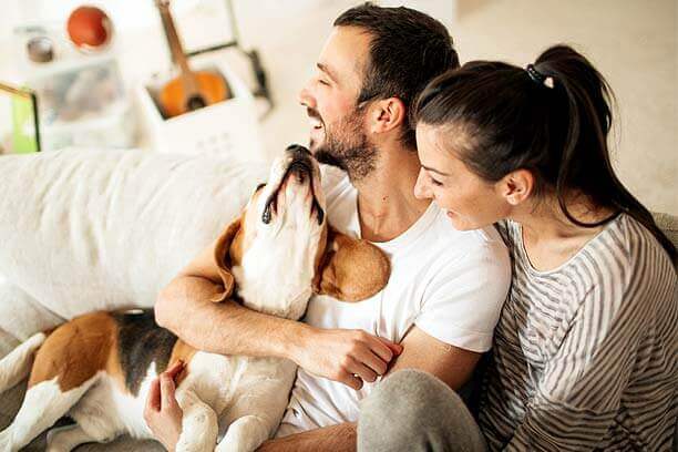 5 Hidden Costs of Owning a Pet | Farm Bureau Financial Services