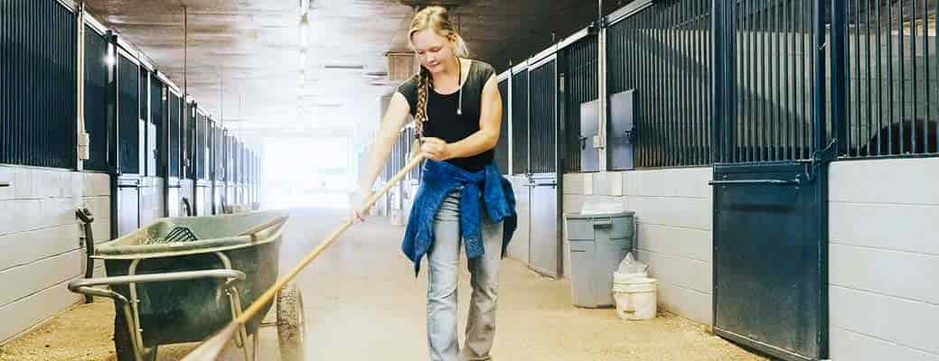 Spring Cleaning: Barns and Outbuildings | Farm Bureau Financial Services