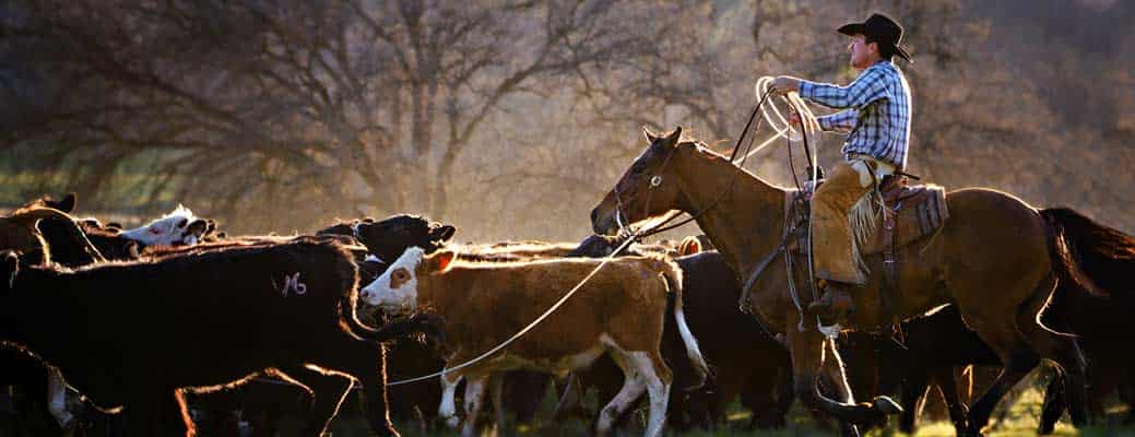 Protecting Your Farm and Ranch From Wildfires | Farm Bureau Financial ...