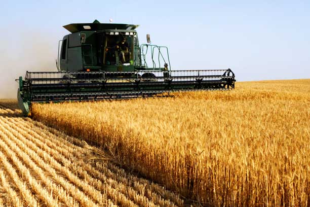 9 Tips for Keeping Yourself Healthy During Harvest Season | Farm Bureau ...