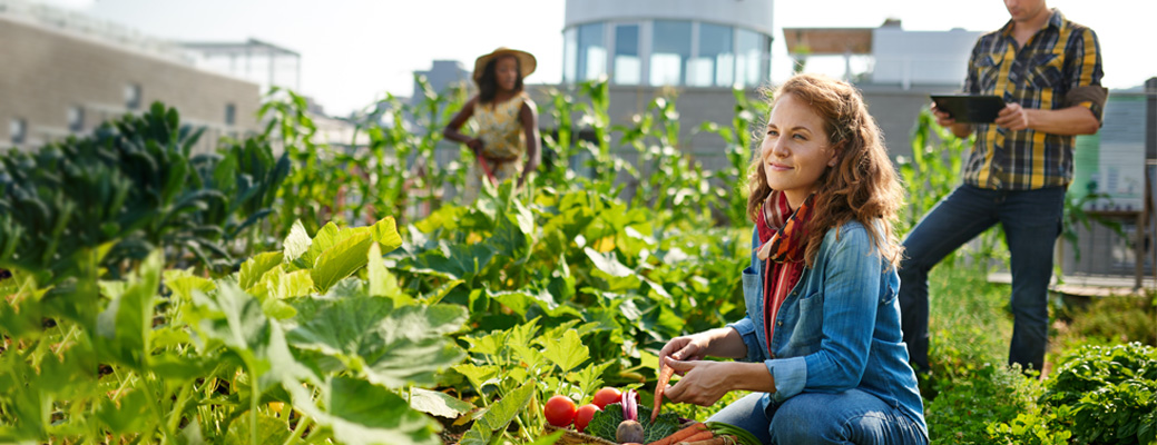 How to Start an Urban Farm | Farm Bureau Financial Services