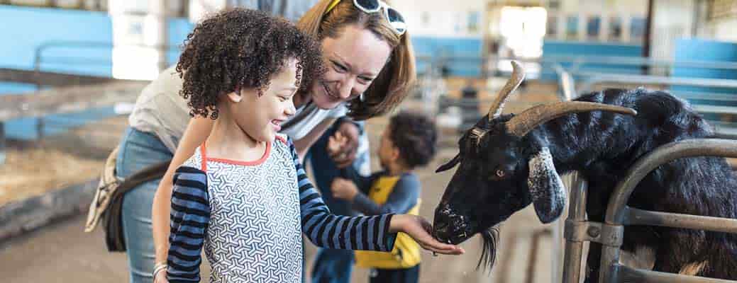 7 Agritourism Ideas for Your Small Farm | Farm Bureau Financial Services