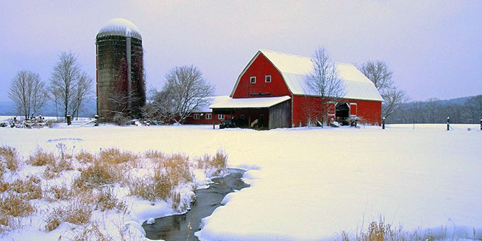 Working in Cold Weather: 4 Safety Tips for Farmers and Ranchers | Farm ...