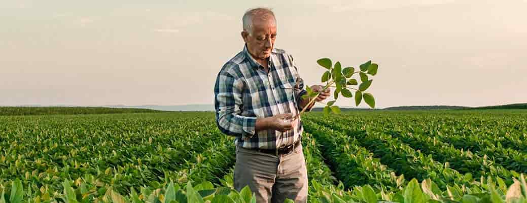 How to Improve Your Farm’s Profitability | Farm Bureau Financial Services