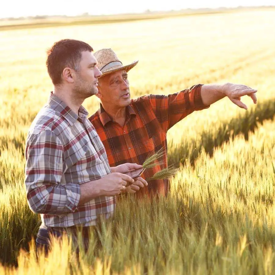 Crop Insurance | Farm Bureau Financial Services